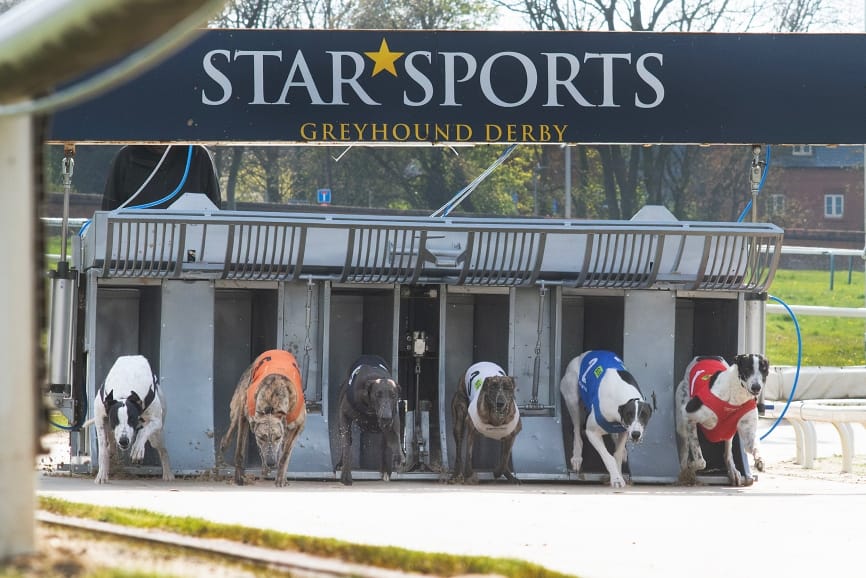 The Derby - SIS Racing