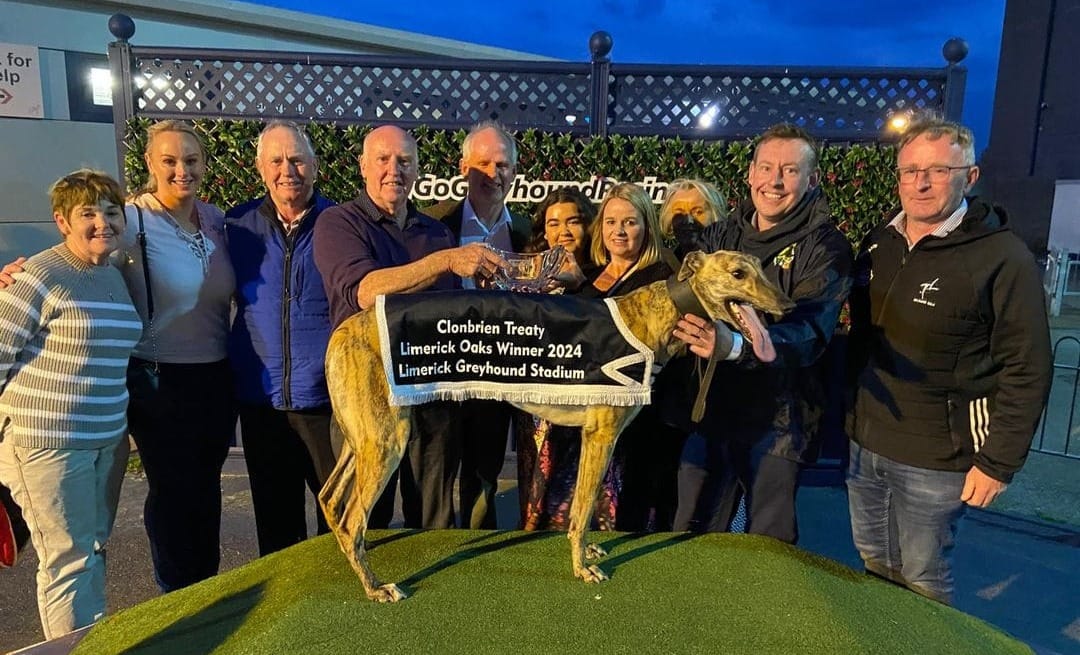 Ian Fortune's weekly Irish Focus - Wednesday 15th May edition