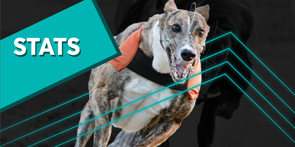 Statistics - SIS Racing