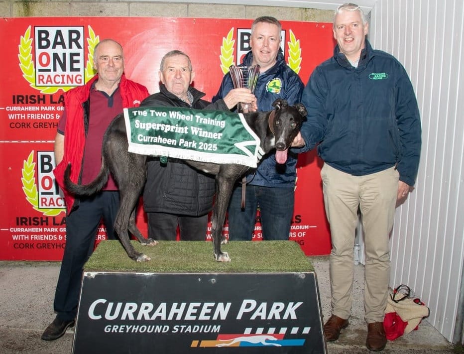 Ian Fortune's Weekly Irish Focus - Wednesday 16th April edition