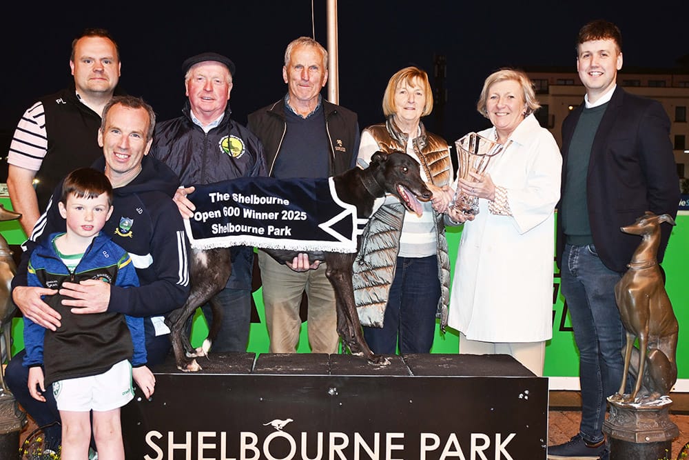 Ian Fortune's Weekly Irish Focus - Wednesday 7th May edition