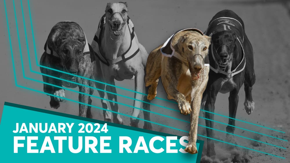 Major Races - SIS Racing