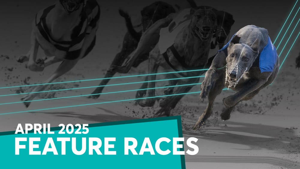 Major Races - SIS Racing