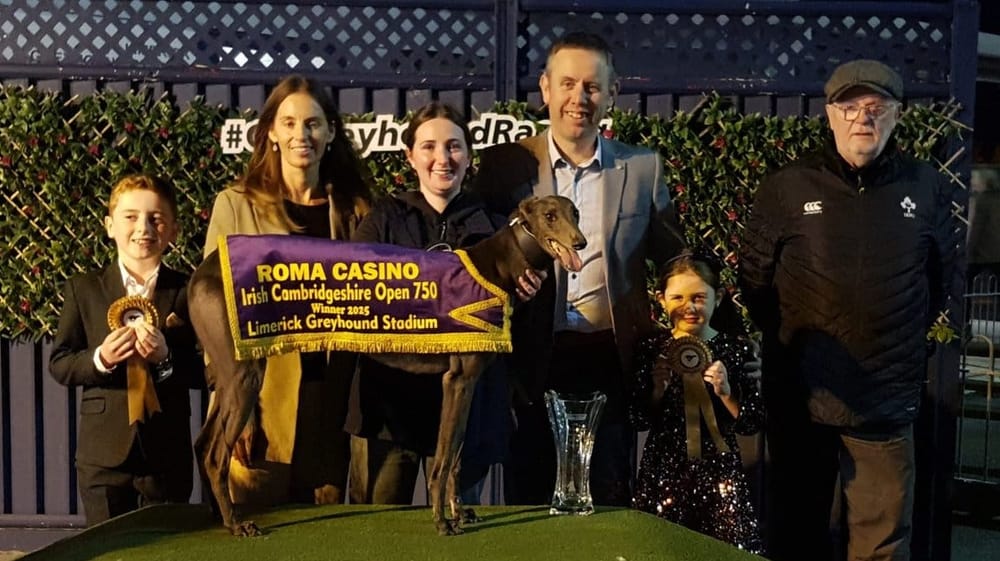 Ian Fortune's Weekly Irish Focus - Wednesday 3rd Sept edition