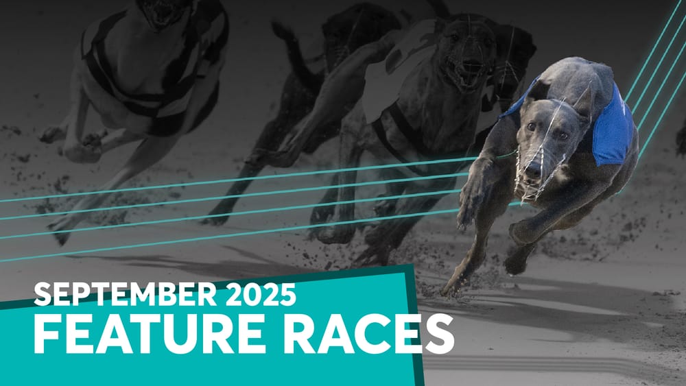 Major Races - SIS Racing