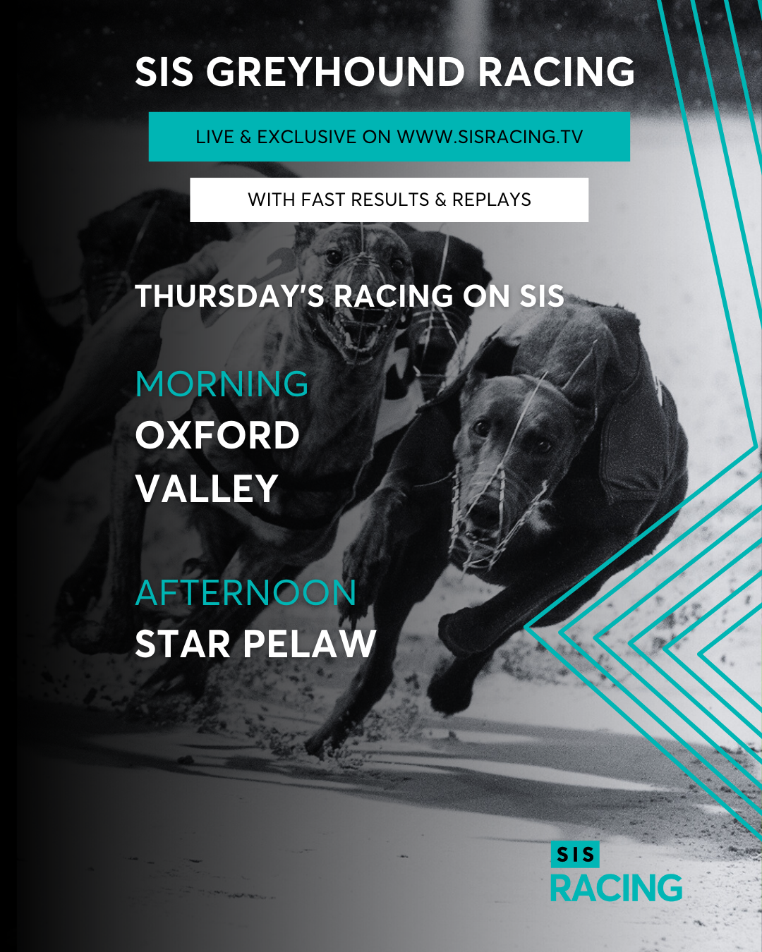 Bell to ring in the New Year with front-running Star Pelaw success