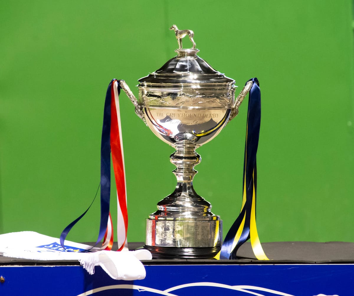 Lahdedah the champion but greyhound racing the winner